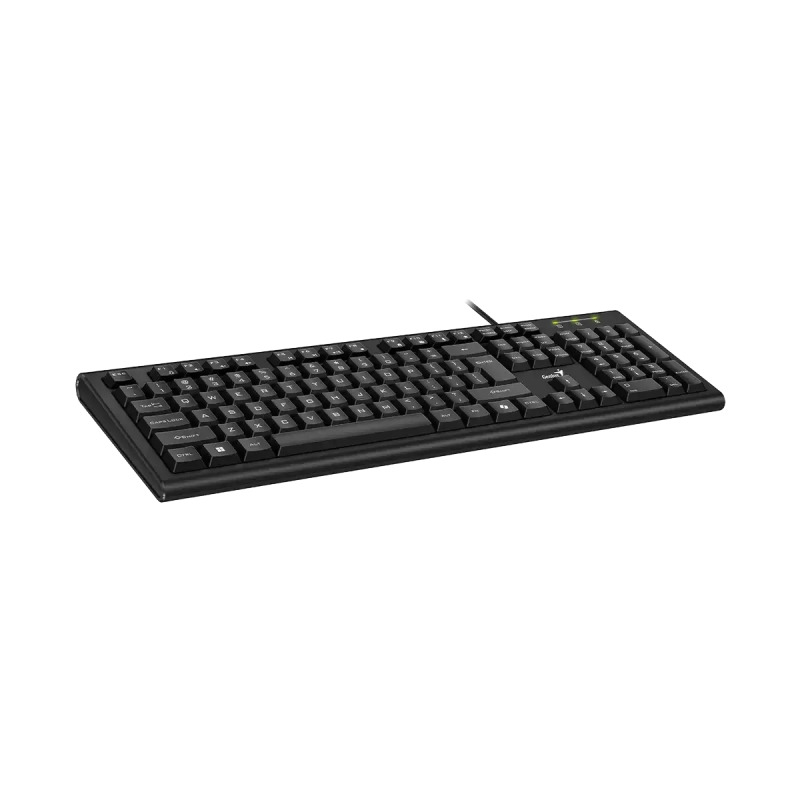 Genius KB-113,AI,BLK,US,USB