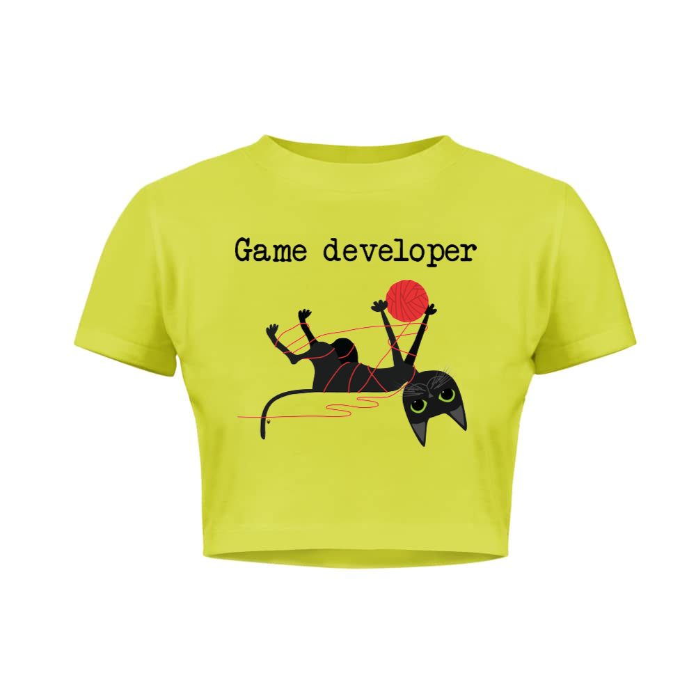 Game developer