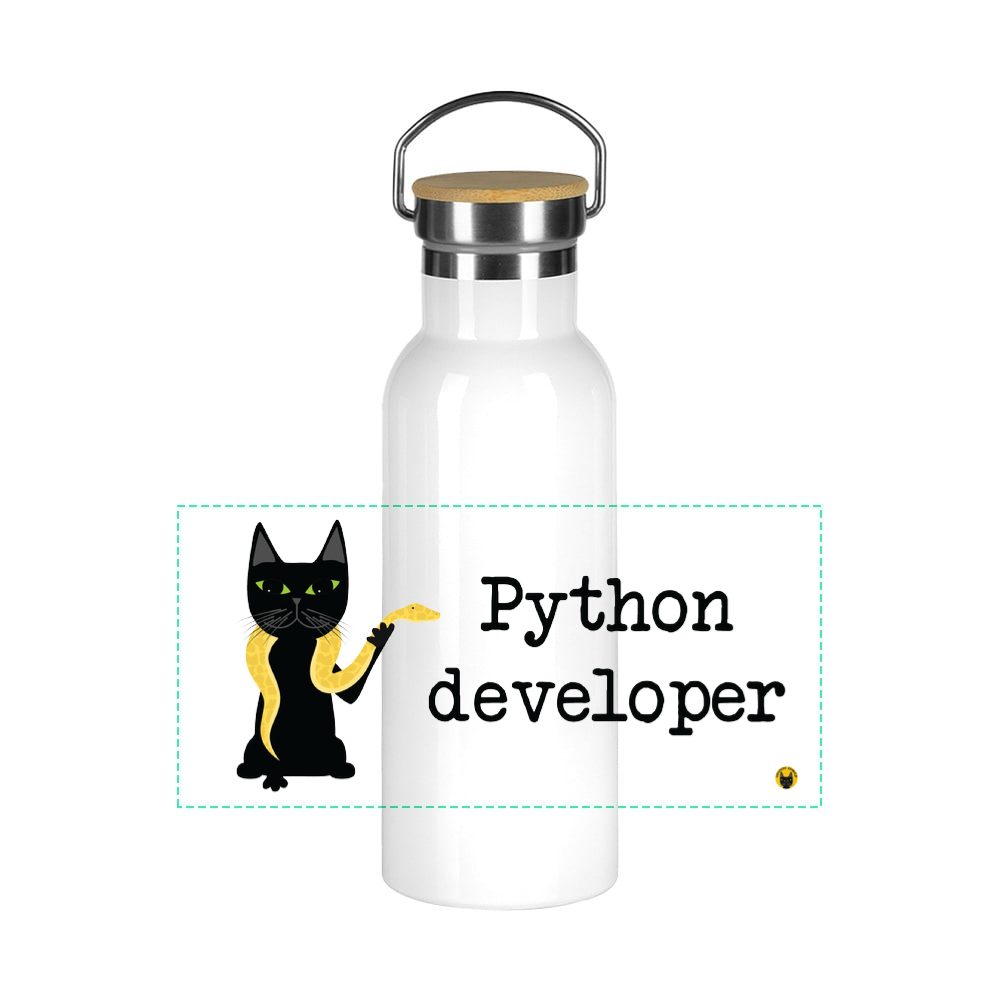 Python developer