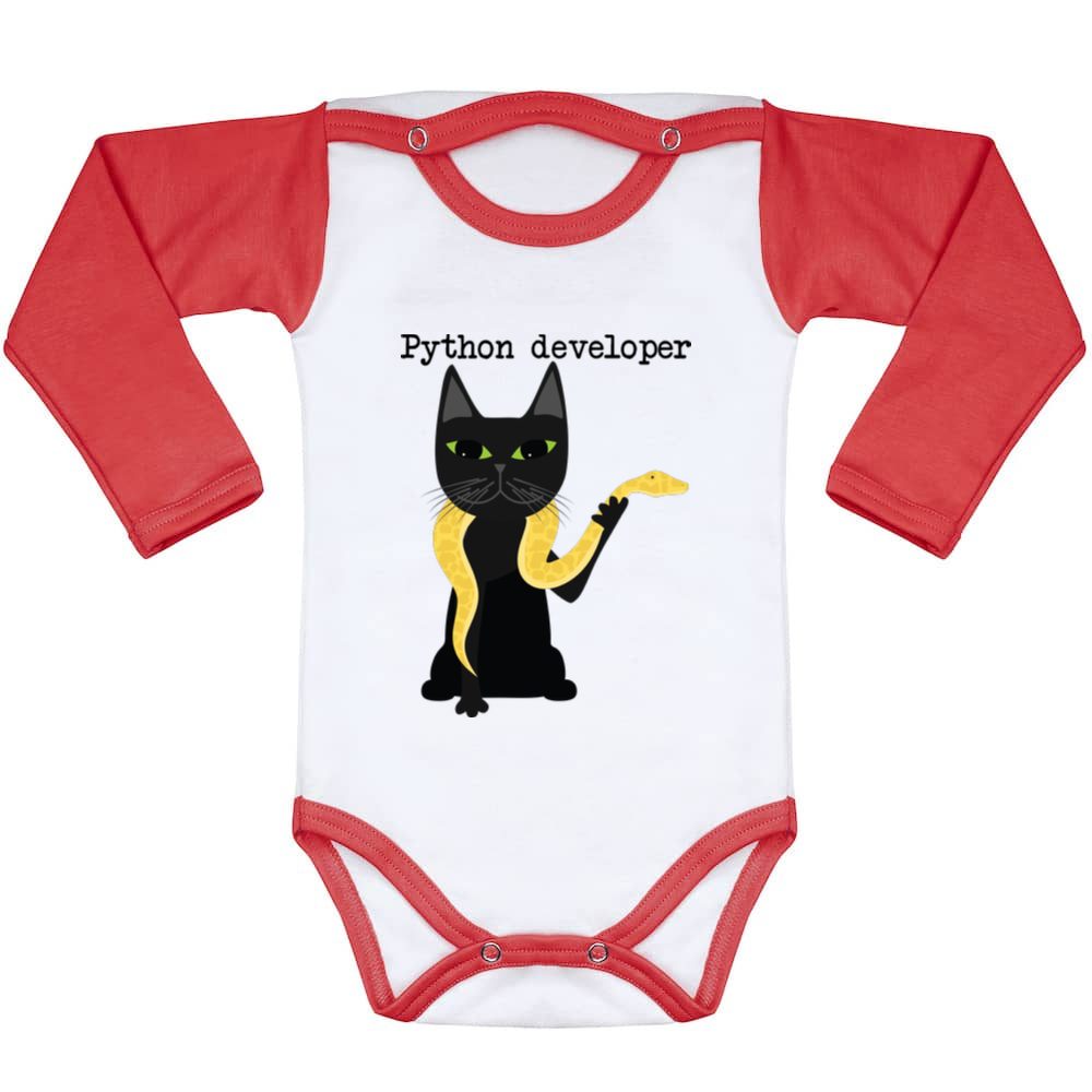 Python developer