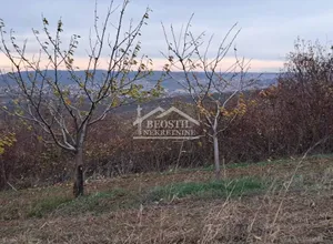 Prodaja Ostale nekretnine - Beograd, Grocka: Boleč - Zaklopača - Ritopek