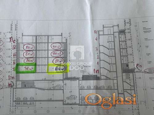ZVEZDARA Bulbulder DIMITRIJA TUCOVIĆA ID#1603