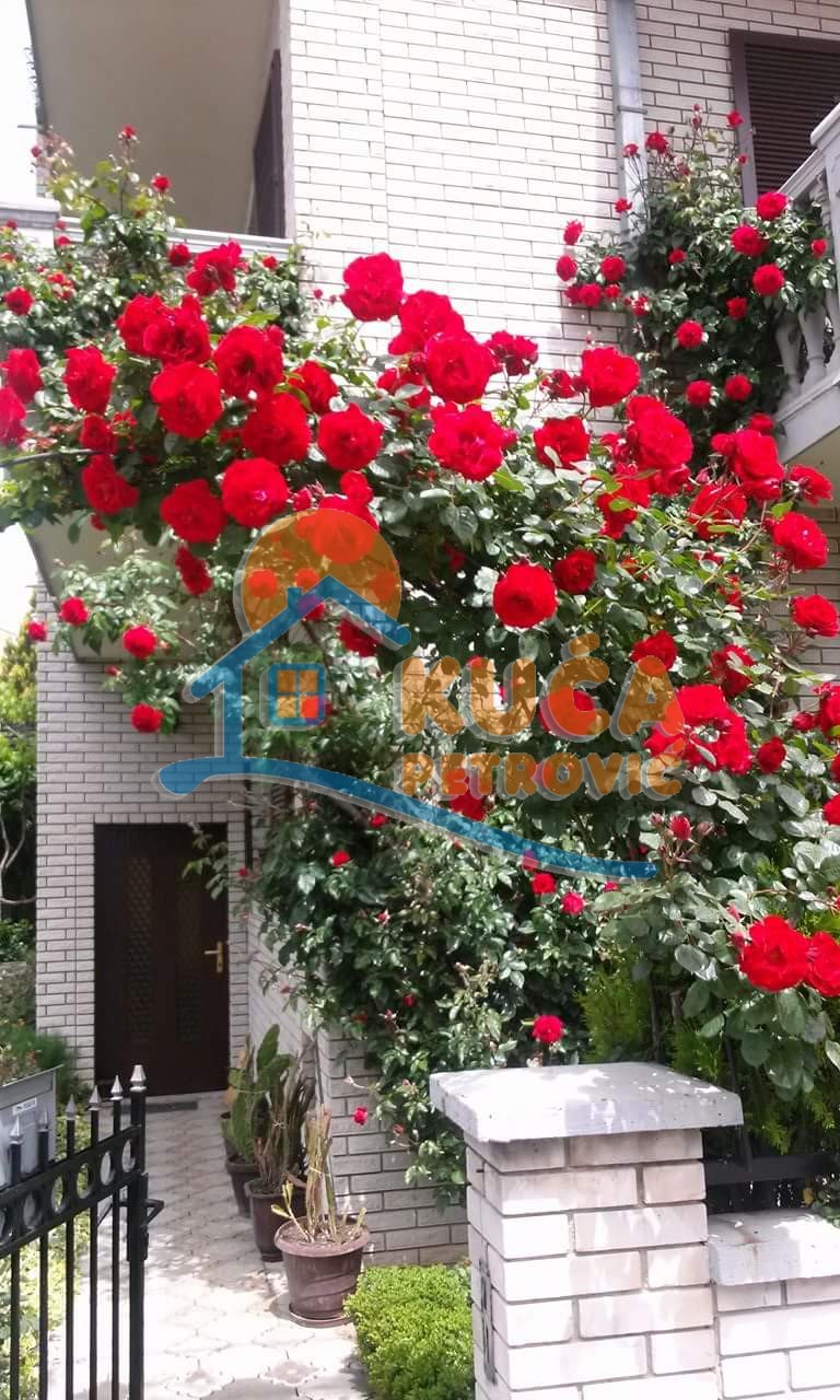 četvorosobna kuća, 560 m2, Pantelej, Krfska ID: p-04579