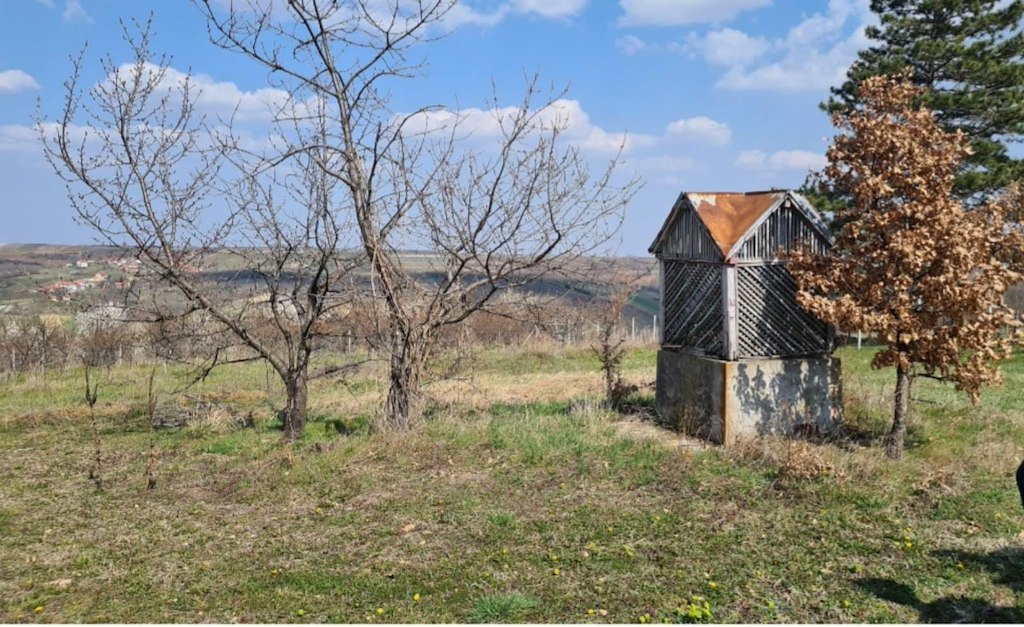 Plac Blaznava Topola