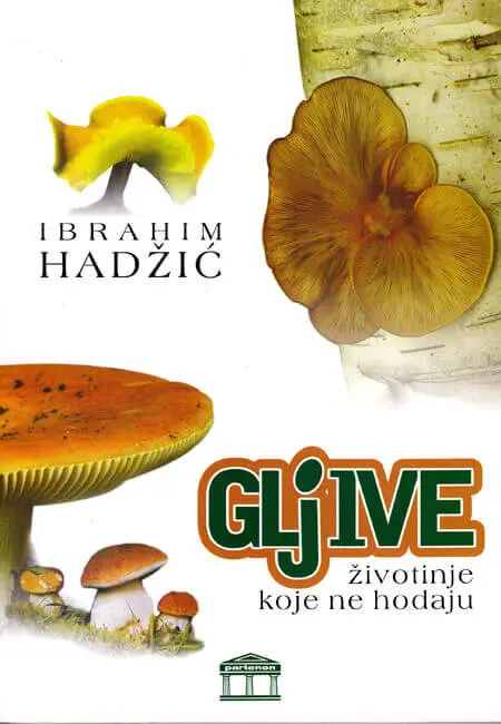 Gljive - životinje koje ne hodaju