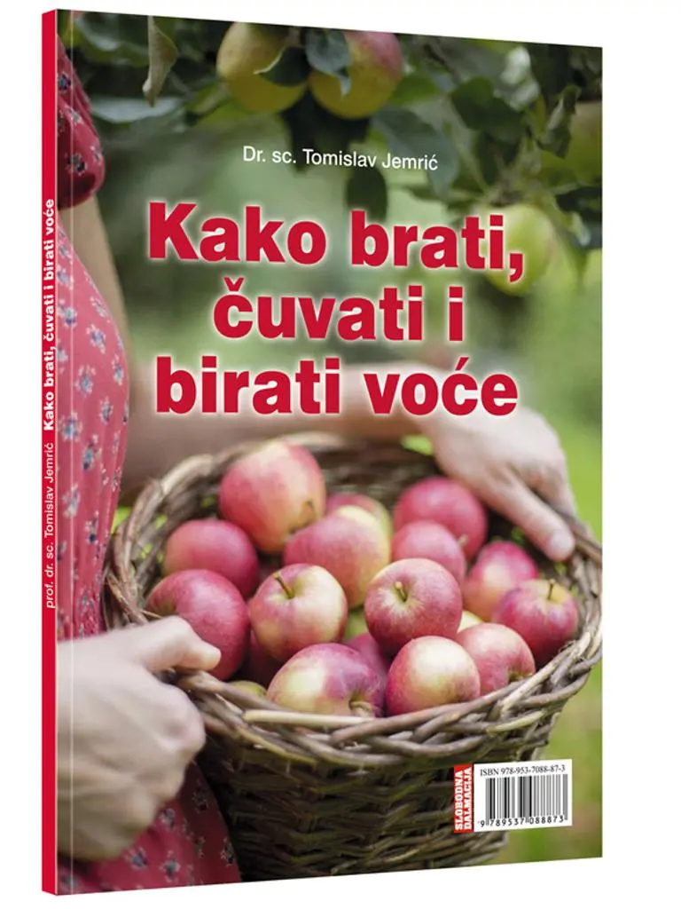 Kako brati, čuvati i birati voće