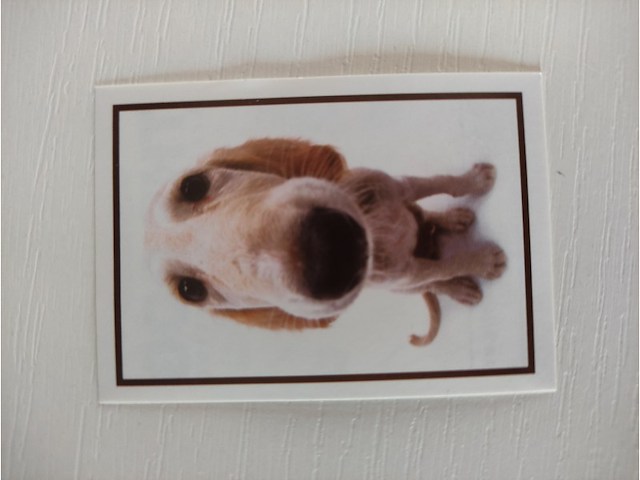 The Dog sličica broj 278