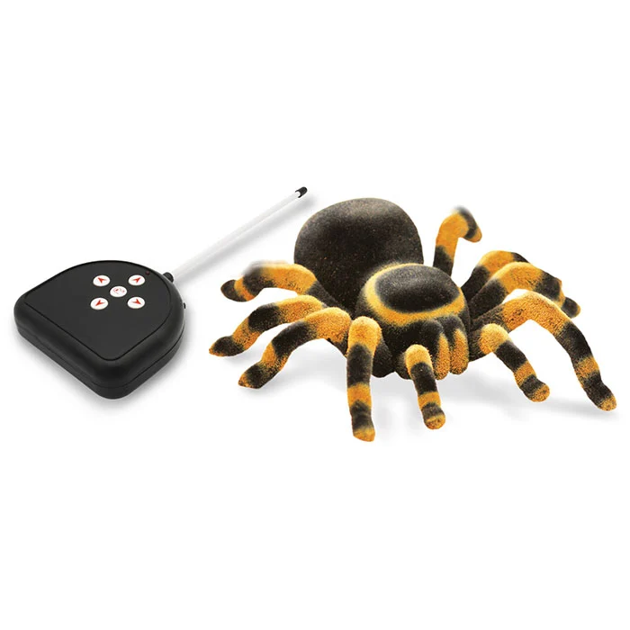 Buki Tarantula