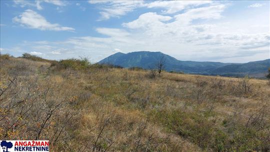 Boljevac, Rtanj - Krivi vir 22,87 ari
