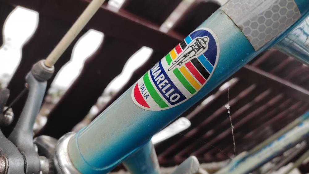 Pinarello veneto