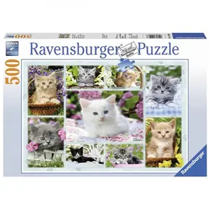 Ravensburger Ravensburger puzzle 500 delova - Mačići u korpi (14196)