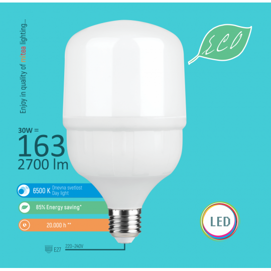 LED SIJALICA 30W E27 2700LM 100X171MM 6500K ECO