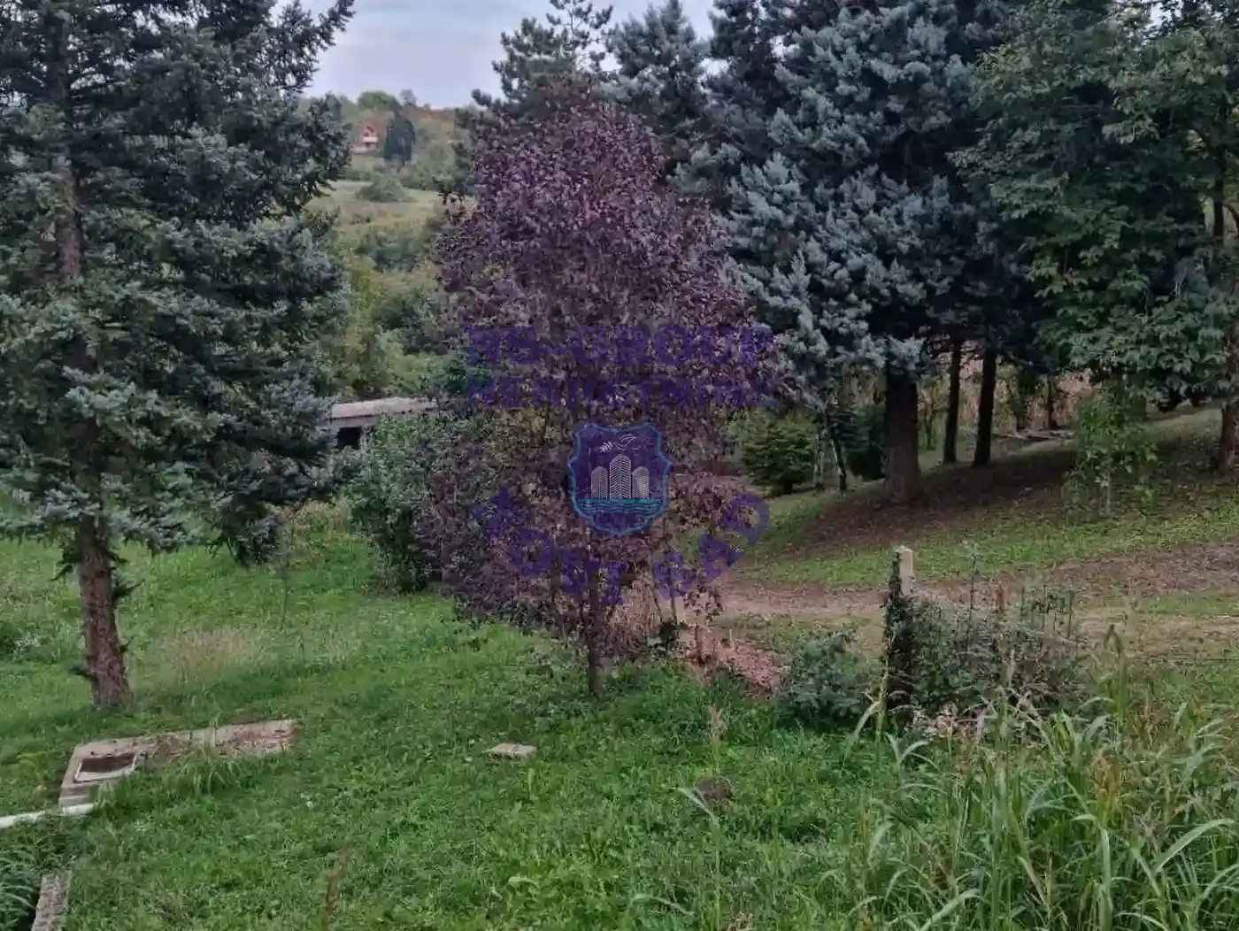 Centar, Banoštor