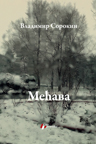 Владимир Сорокин: Мећава