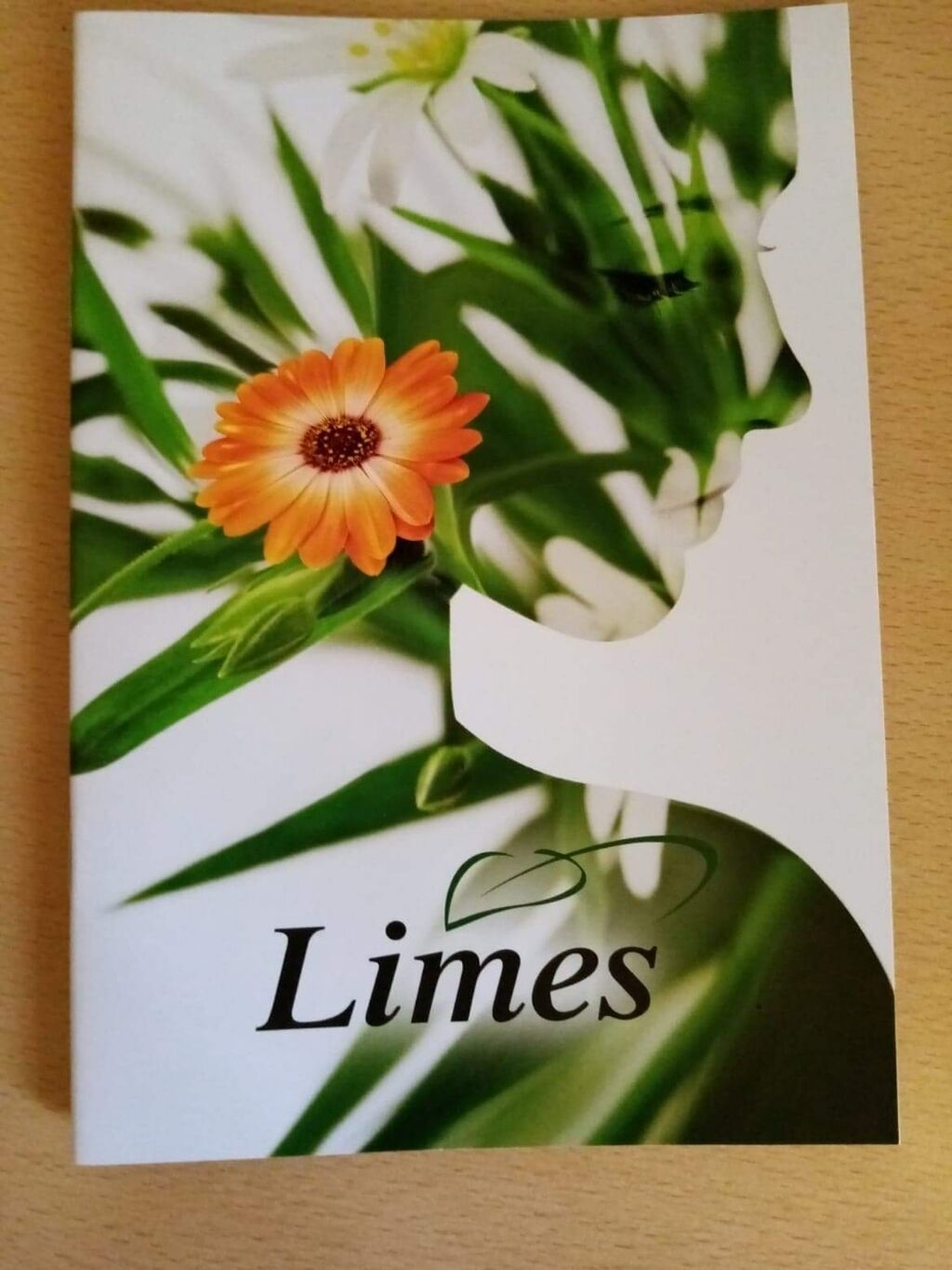 Limes proizvodi pogledajte katalog DA SVAKA DOMACICA ZABLISTA, A DA