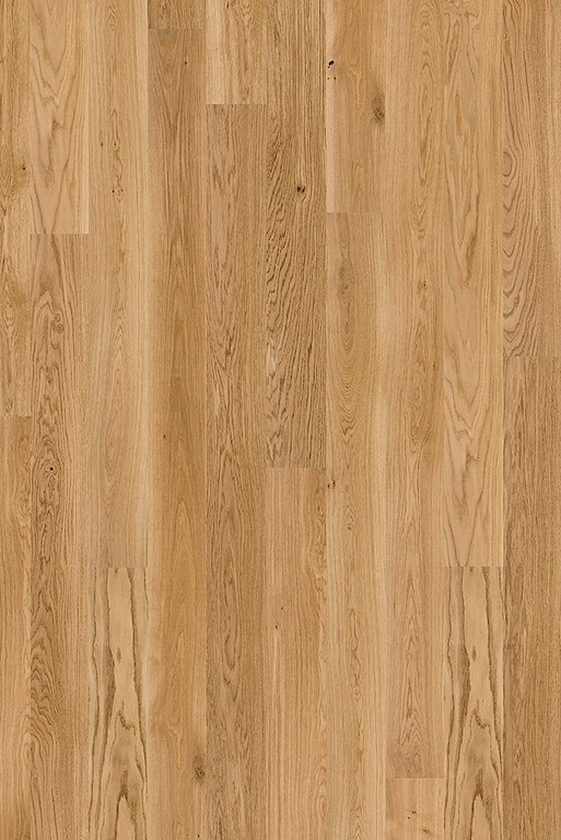 Tarkett parket Professional Oak Nature četkani