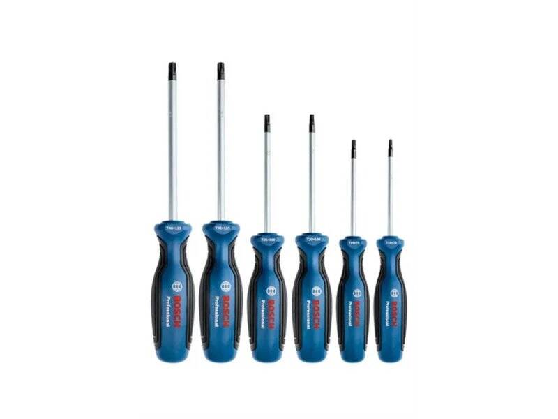 BOSCH PROFESSIONAL 6-DELNI KOMPLET TORX ODVRTAČA T10-T40, 1600A01V09