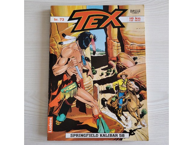 tex 73 - Springfield kalibar 58