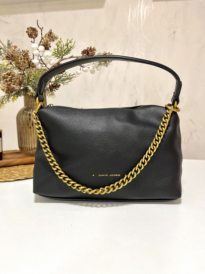 David Jones torbica
