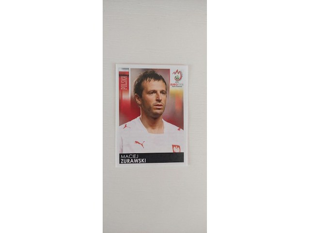 Panini EURO 2008 sličica broj 251