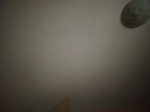 Rakija sljiva 2 godine stara