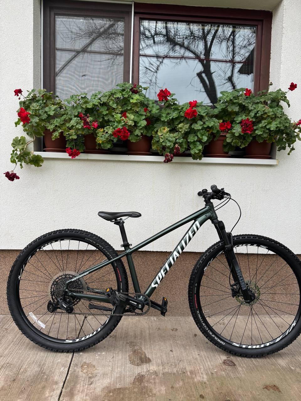 Specialized Rockhopper Expert 29