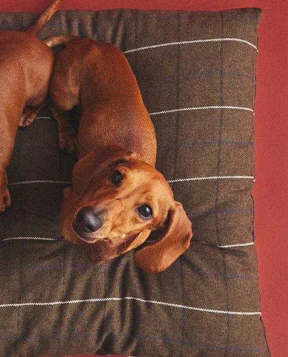 ODVOJIVI PODNI JASTUK ZA KUĆNE LJUBIMCE