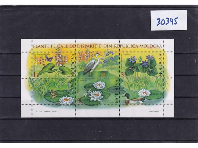 Moldavija Flora