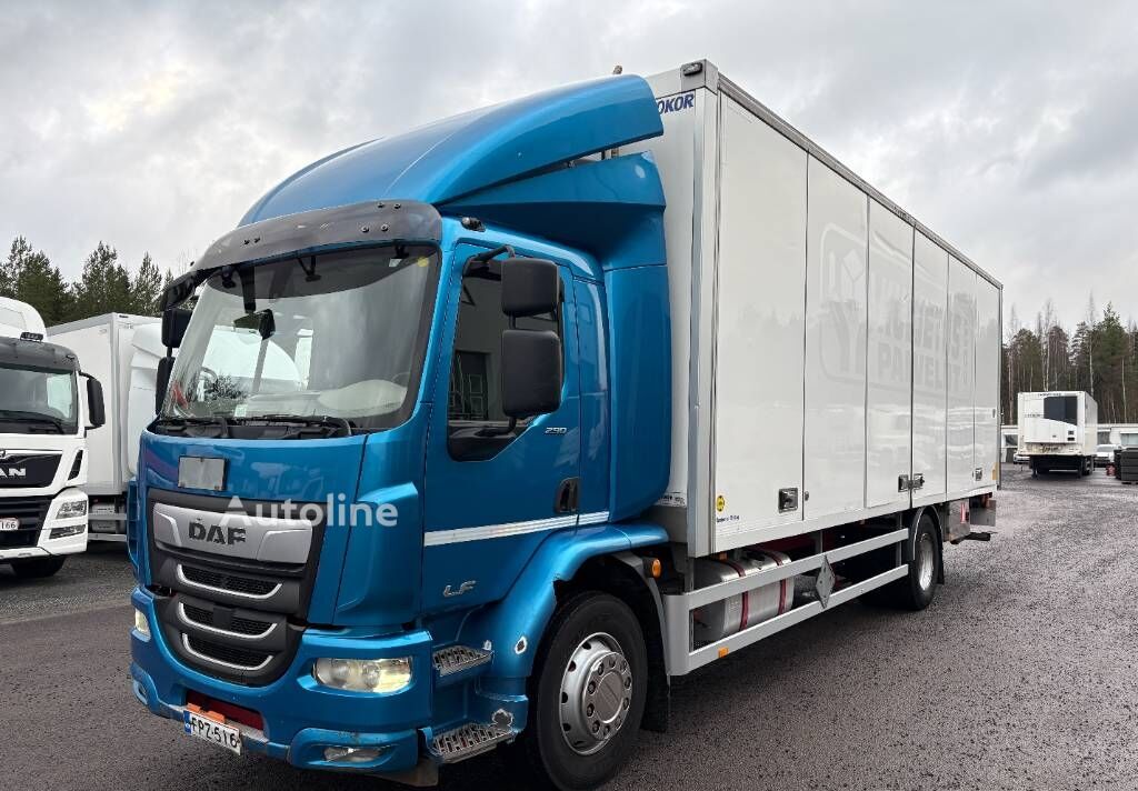 DAF LF 290 FA KSA-kori + PL-nostin kamion furgon