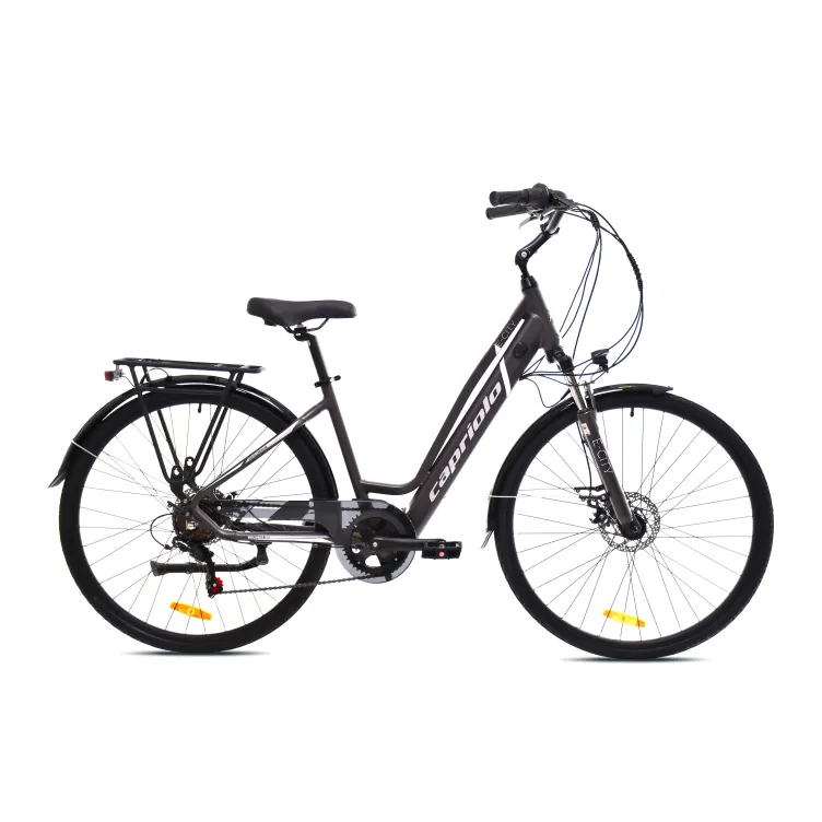 E-BIKE E-CITY sivo-srebrno (19)