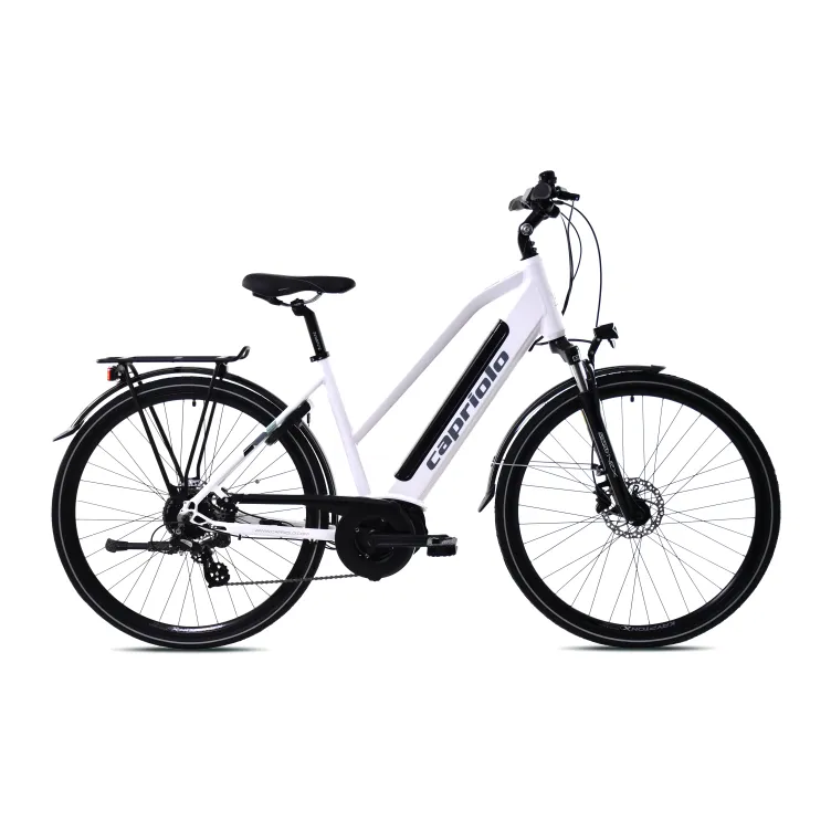 E-BIKE ECO 700.3 belo (480)