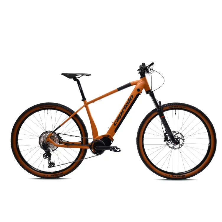 E-BIKE Phantom (17)