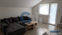 OPŠTINA ZEMUN Đure Gajića ID: 93733483