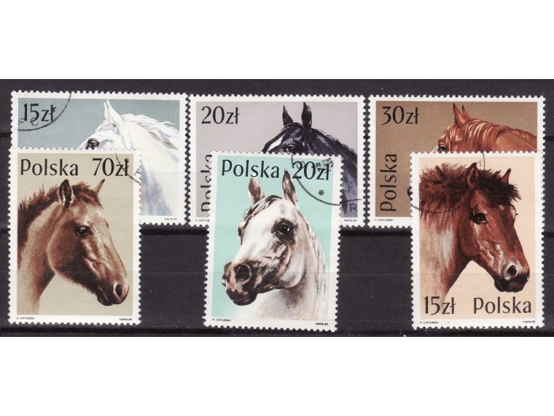 Poljska - konji 89.
