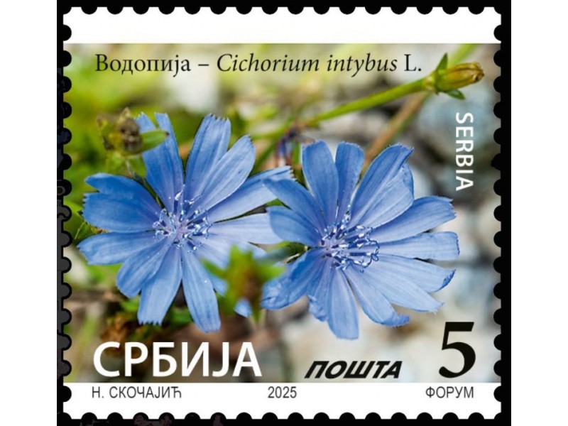 REDOVNA 2025
