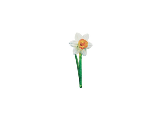 Bukmarker - Flower Bookmarks, Painted Daffodil