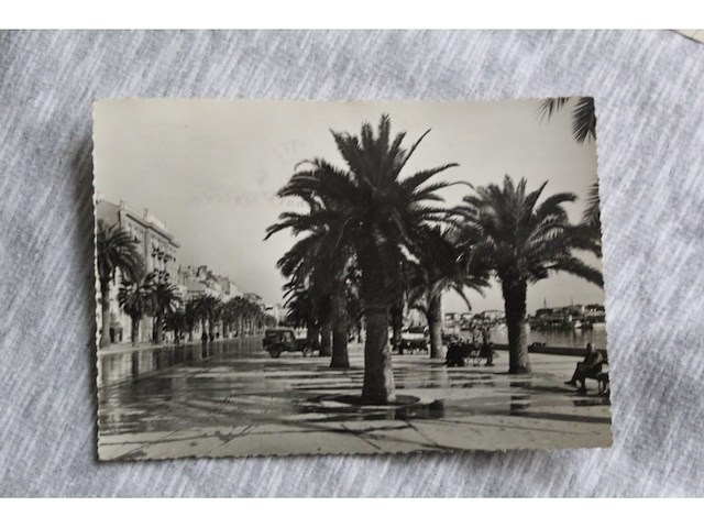 SPLIT