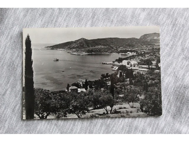 MLINI