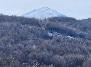Prodaja Plac - Boljevac