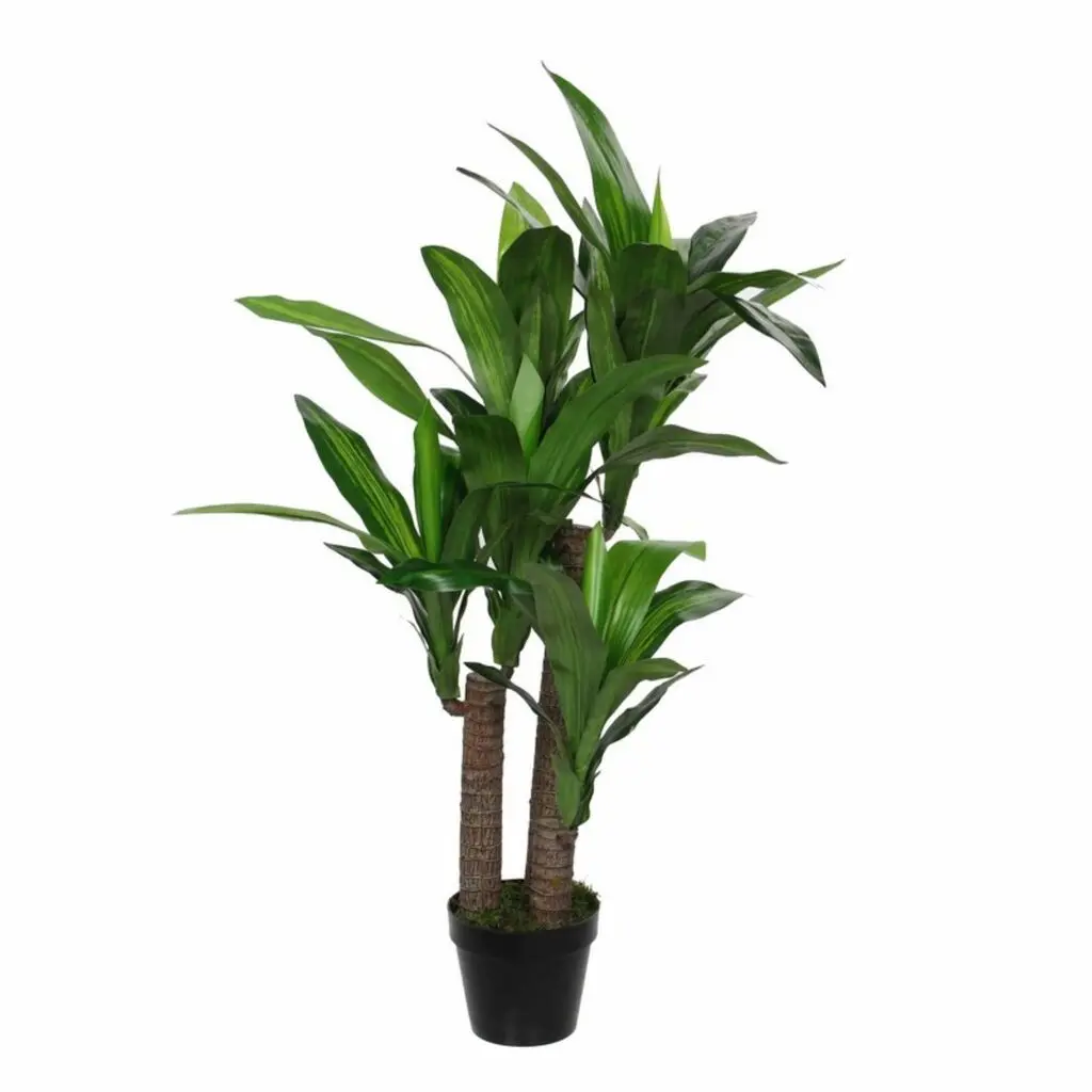DekorDom Dekorativna biljka u saksiji Dracaena 1102068, 150 cm