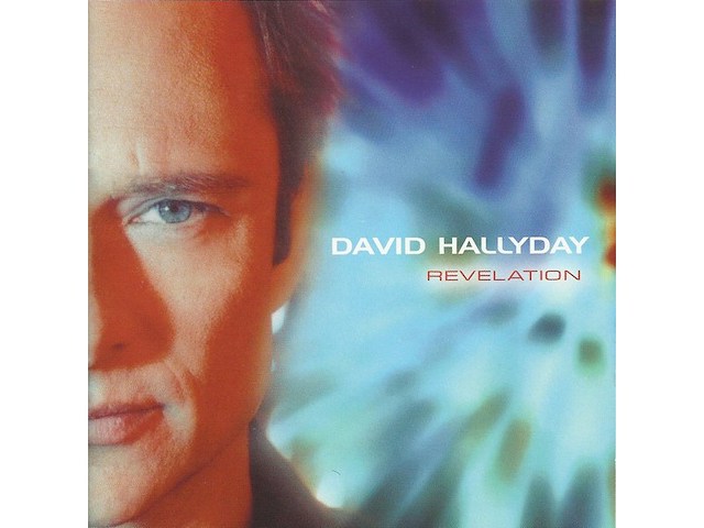 David Hallyday – Révélation