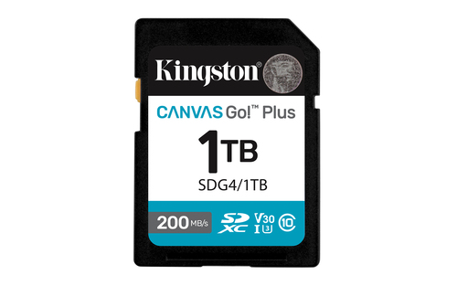 SD Card 1TB Kingston SDG4/1TB class 10 200Mbs/160MBs