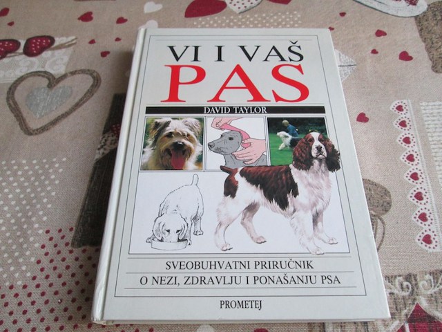 VI I VAŠ PAS - David Taylor