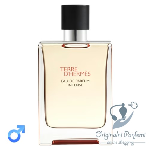 Hermes Terre d’Hermes Intense 100ml EDP
