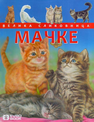 Velika slikovnica: Mačke - Emili Bomon