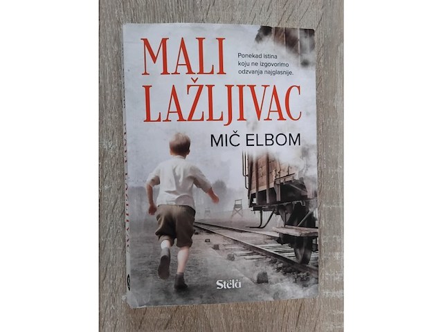 Mali lažljivac Mič Elbom