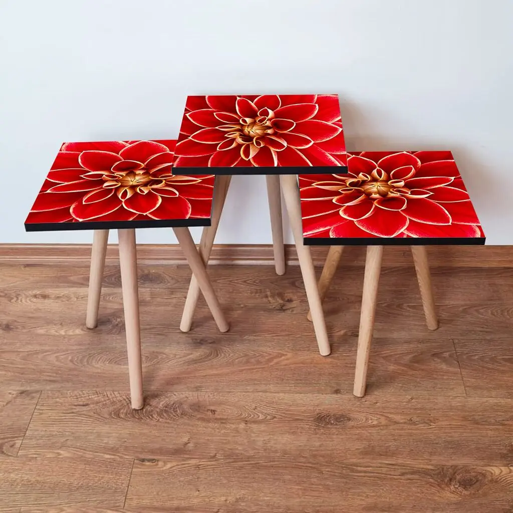 Hanah Home Set klub stočića 3Shp361, 3 komada, Šareni