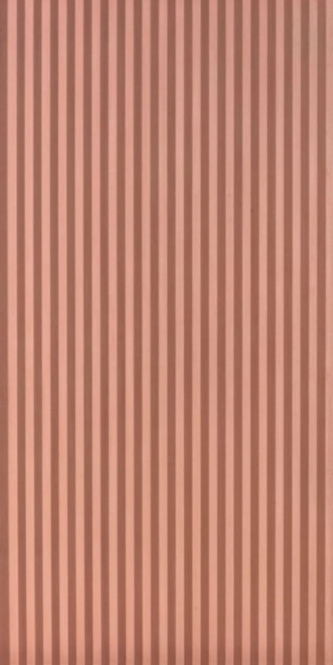 HOMEY cannete rose 60x120 rett
