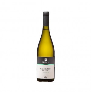 Matalj Terasa Sauvignon Blanc 2025