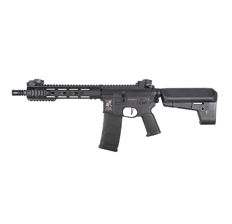 Delta Armory M4 M-LOK 10 Charlie EAGLE Black